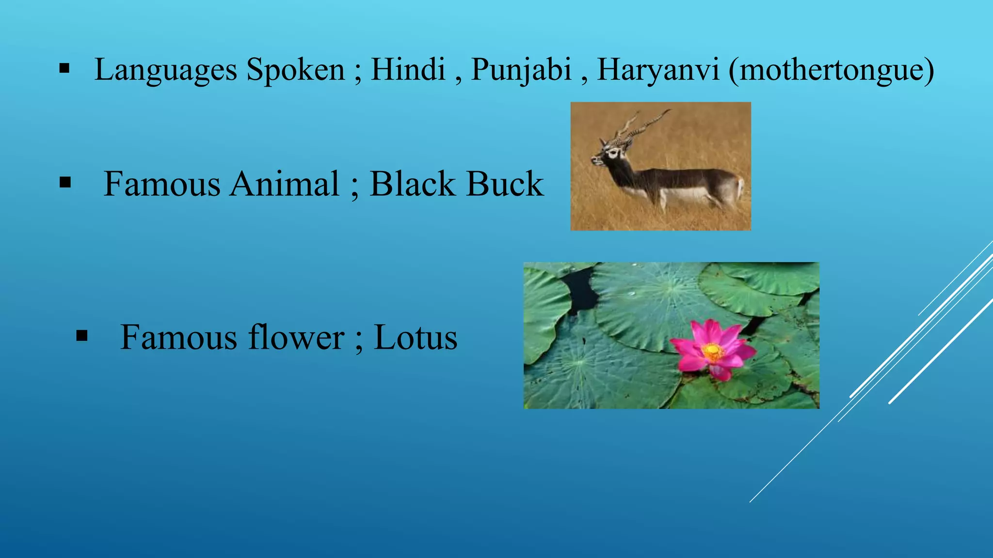 Presentation on Haryana | PPTX