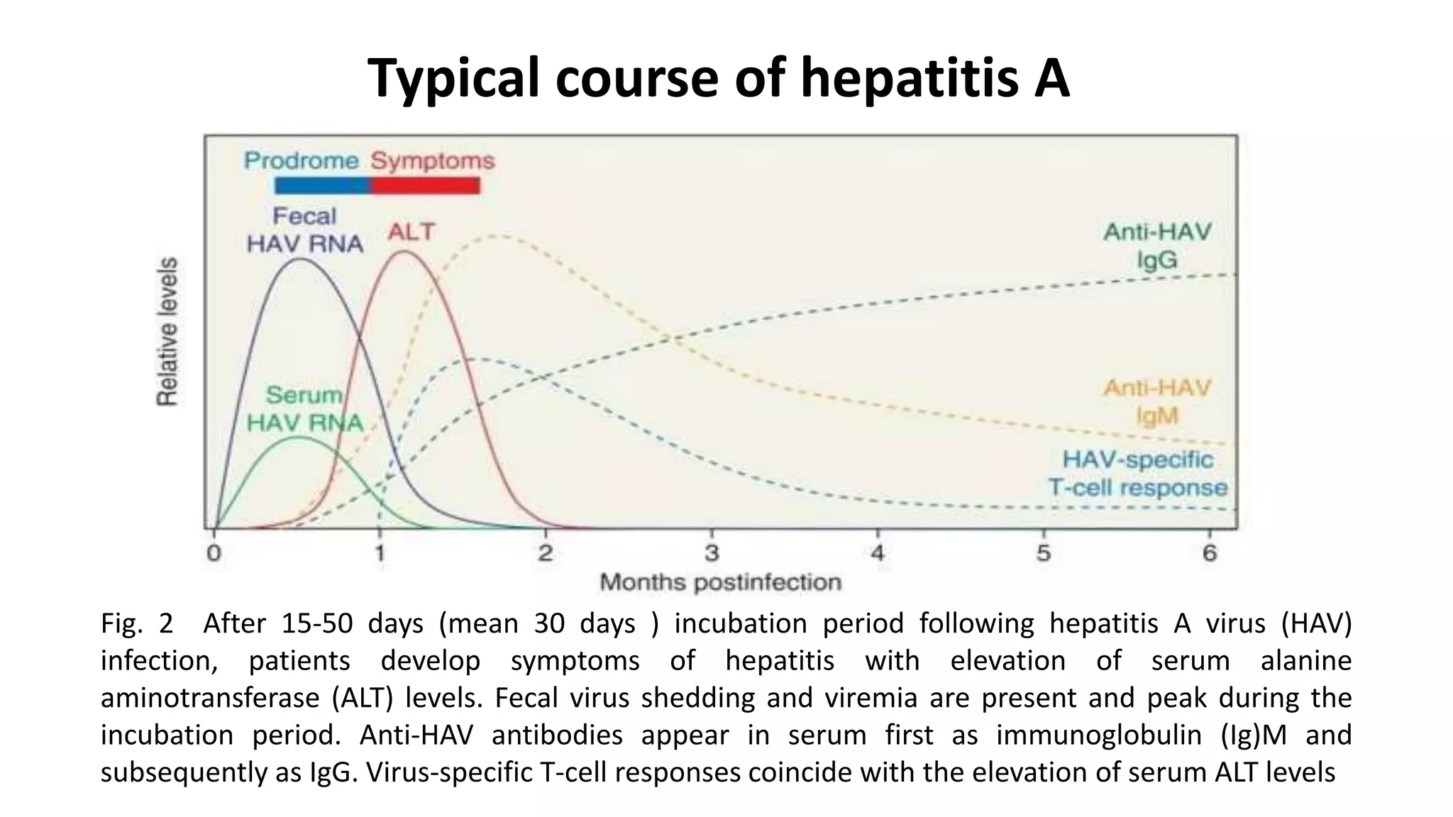 Hepatitis A.pptx