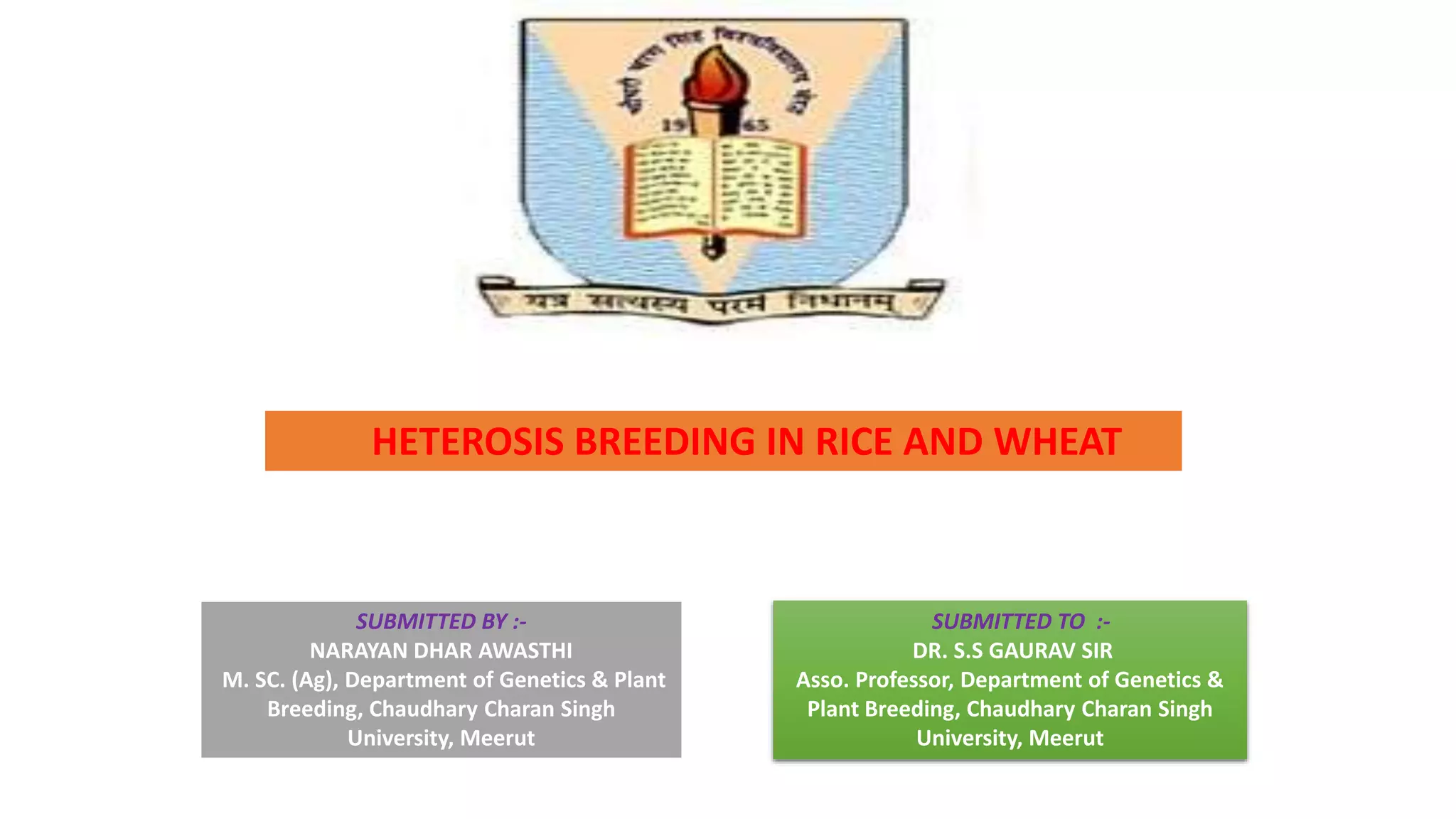RICE BREEDING | PPTX