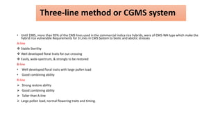 RICE BREEDING | PPTX