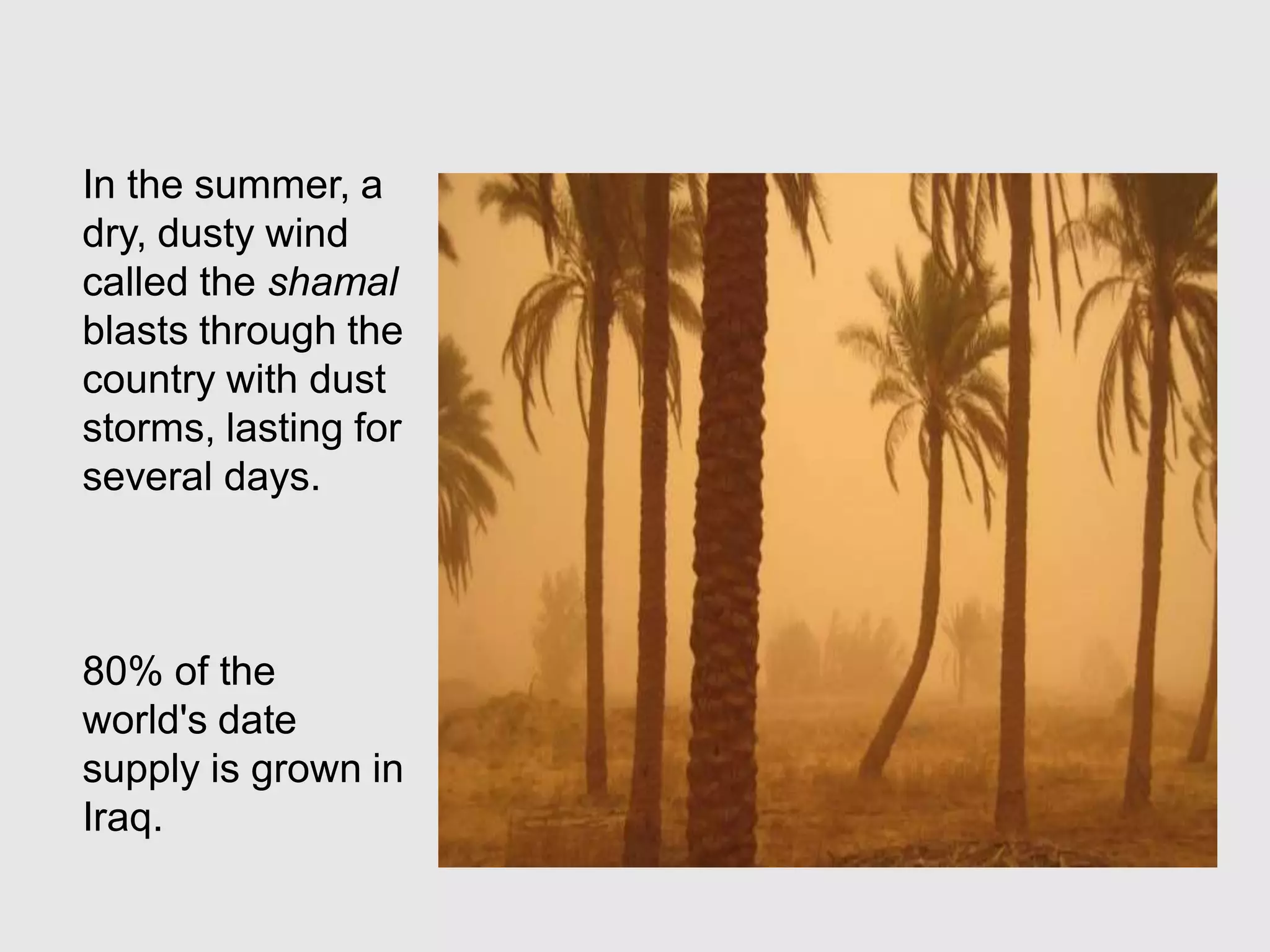 Presentation on history of iraq | PPTX