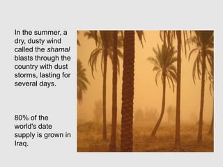 Presentation on history of iraq | PPTX