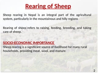 PRESENTATION ON HOUSING & REARING SYSTEM OF SHEEP | PPT