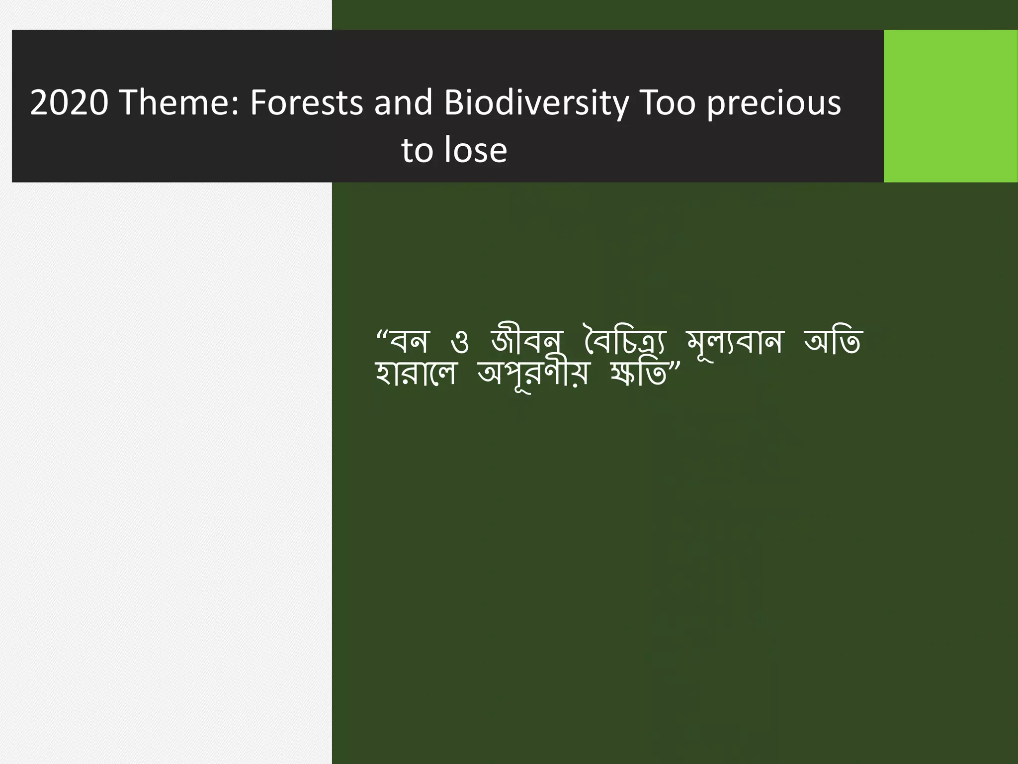 Presentation on International Forest Day 2020 Md Najmus Sakib | PPT