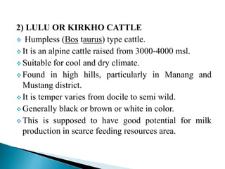 INDIGENOUS BREEDS OF CATTLE IN NEPAL.pptx