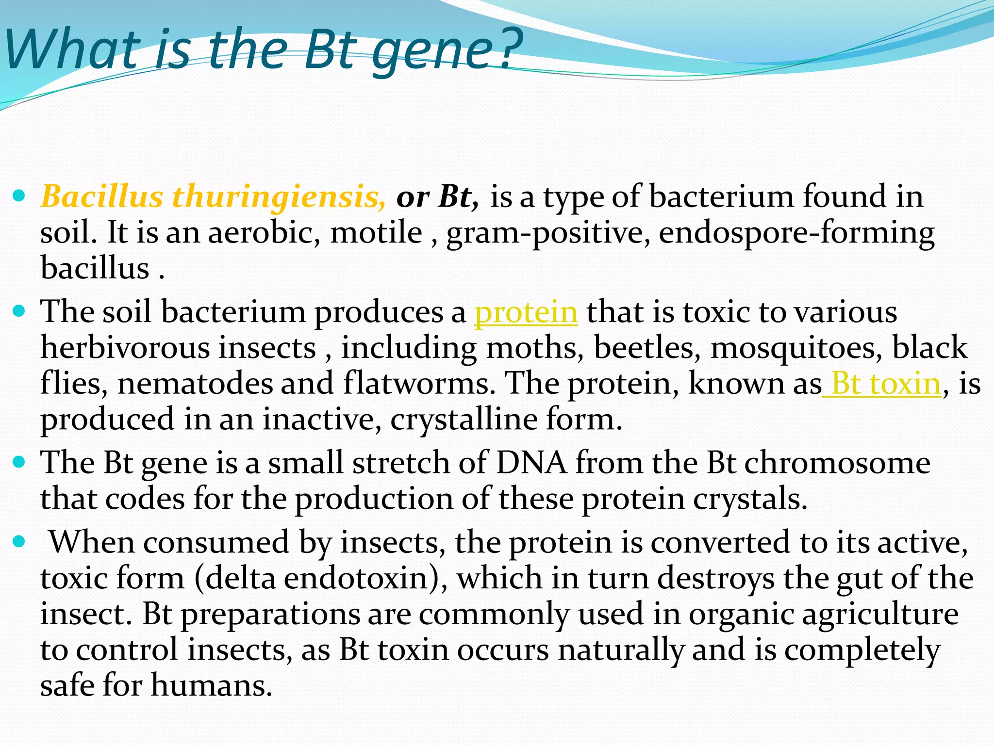 insect resistance plant, bt gene | PPTX