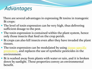 insect resistance plant, bt gene | PPTX