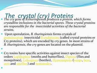 insect resistance plant, bt gene | PPTX