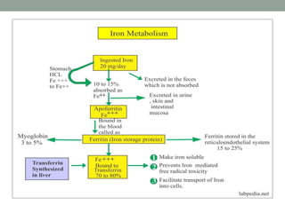 Presentation on iron poisoning | PPTX | Blood Disorders | Diseases and ...