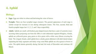 Cultivation oF jack fruit | PPTX
