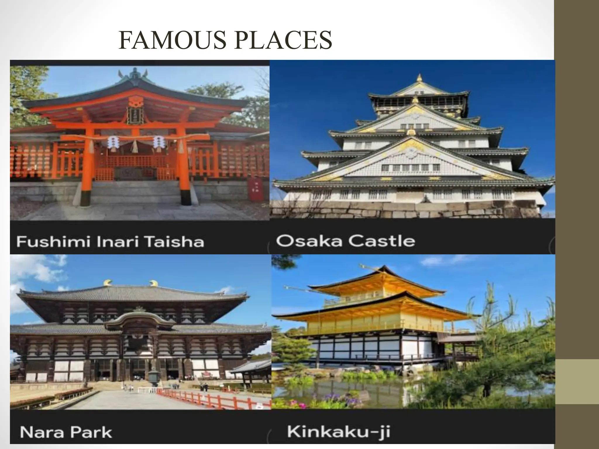 Presentation on japan system - 1111.pptx