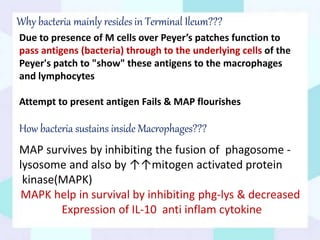 Presentation on jd final | PPTX