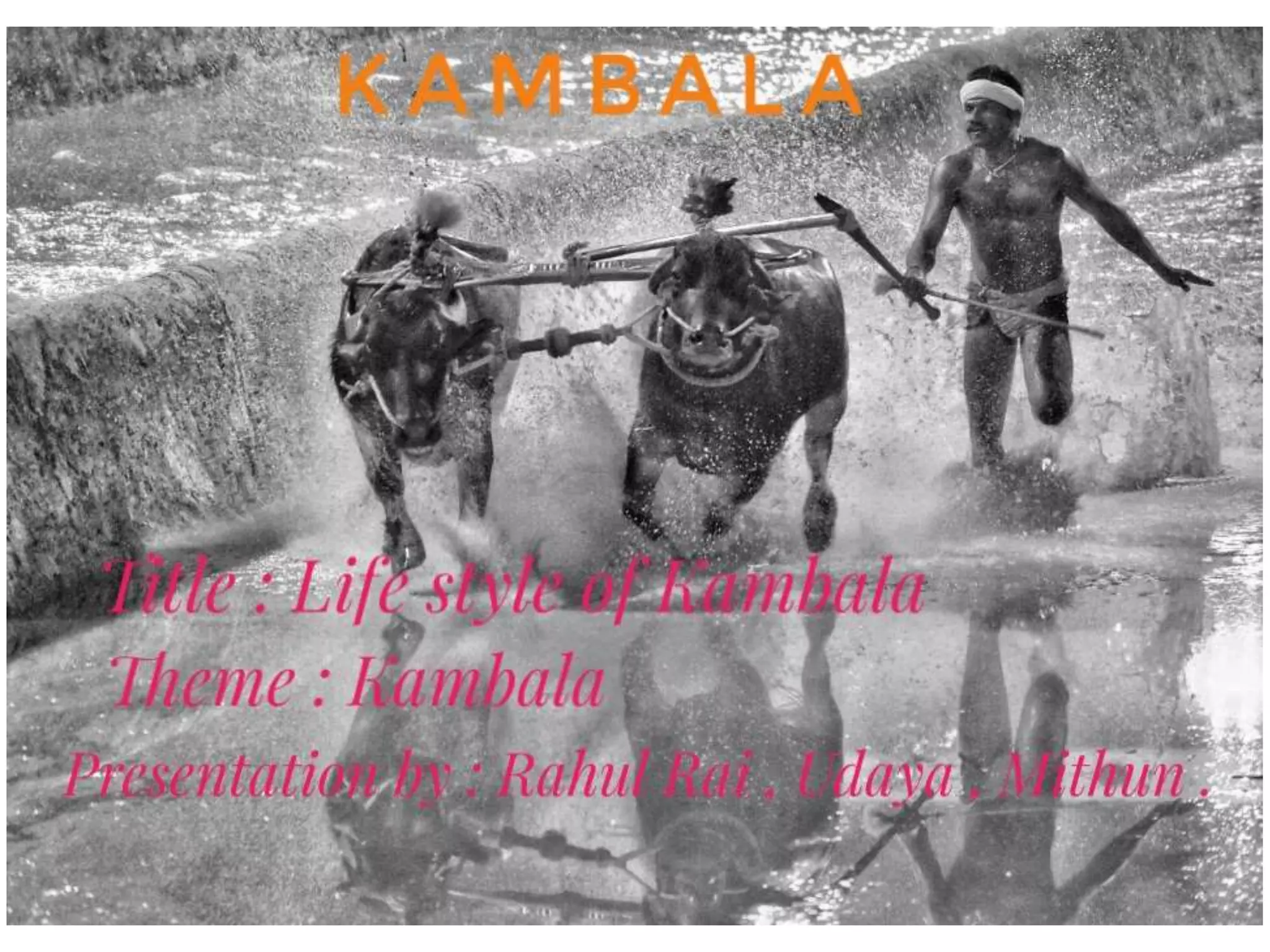 Photography Portfolio by Rahul Rai, Udaya & Mithun of SVS College ...