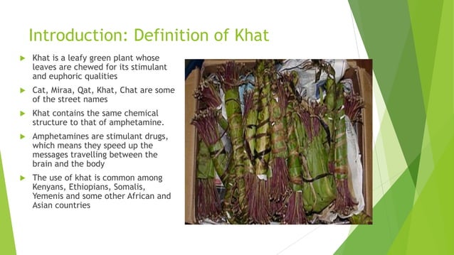 Presentation on khat (1) | PPTX | Substance Abuse | Diseases and Conditions