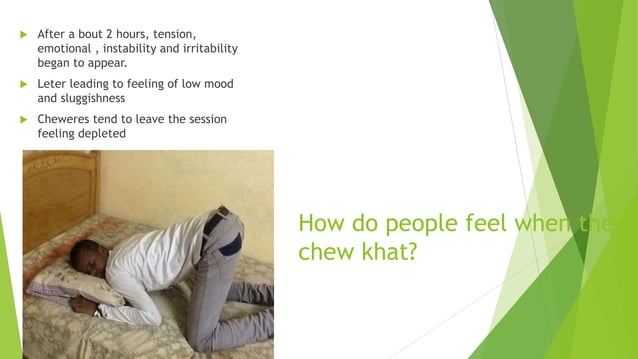 Presentation on khat (1) | PPTX | Substance Abuse | Diseases and Conditions
