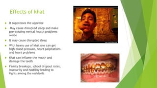 Presentation on khat (1) | PPTX