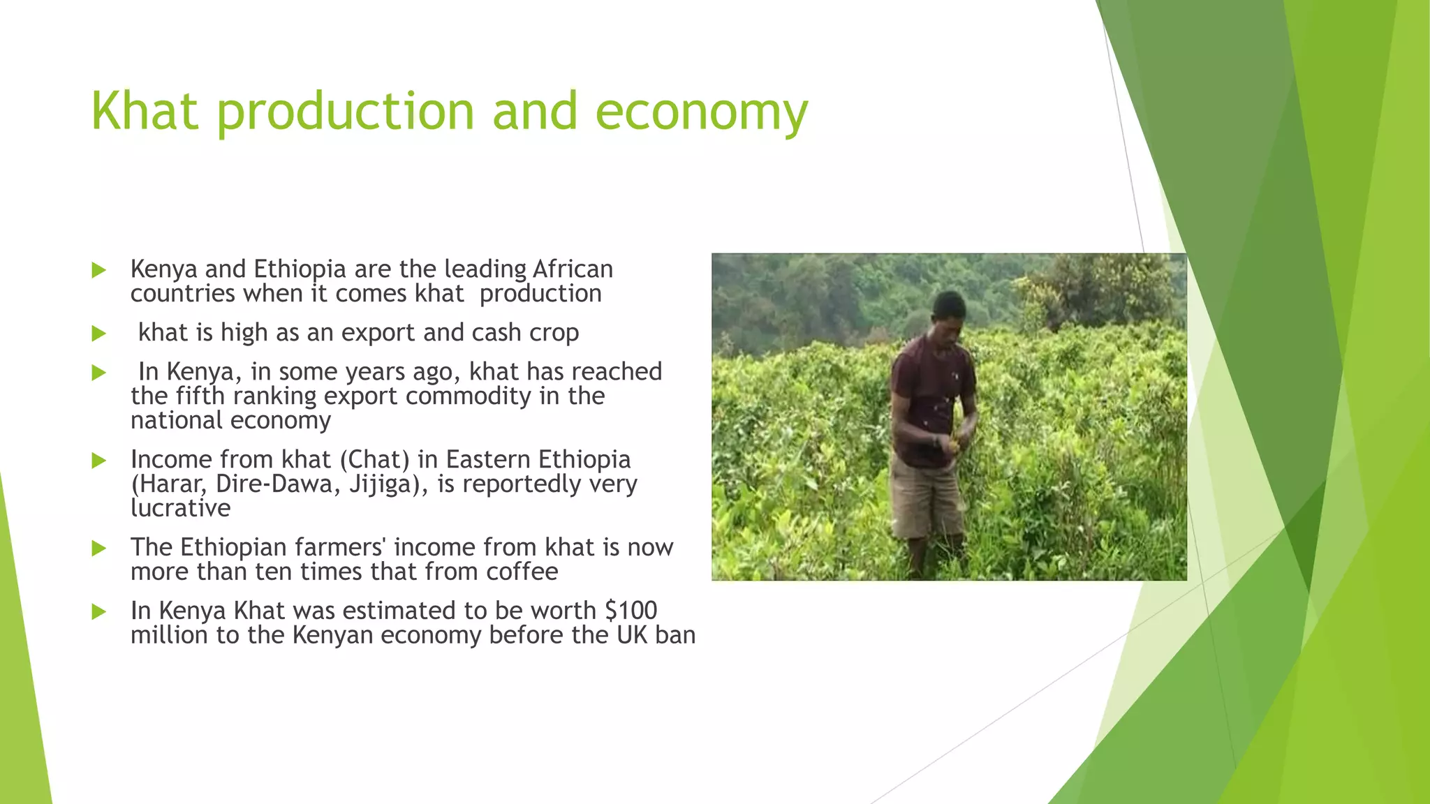 Presentation on khat (1) | PPTX