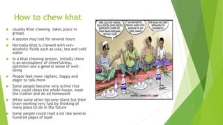 Presentation on khat (1) | PPTX