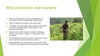 Presentation on khat (1) | PPTX