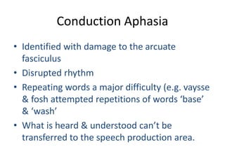 Presentation on language and the brain | PPT