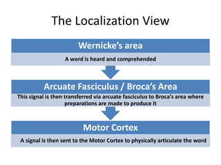 Presentation on language and the brain | PPTX