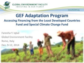GEF Adaptation Program Accessing Financing from the Least Developed ...
