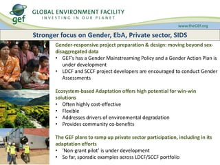 GEF Adaptation Program Accessing Financing from the Least Developed ...