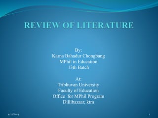 Presentation on literature review | PPTX