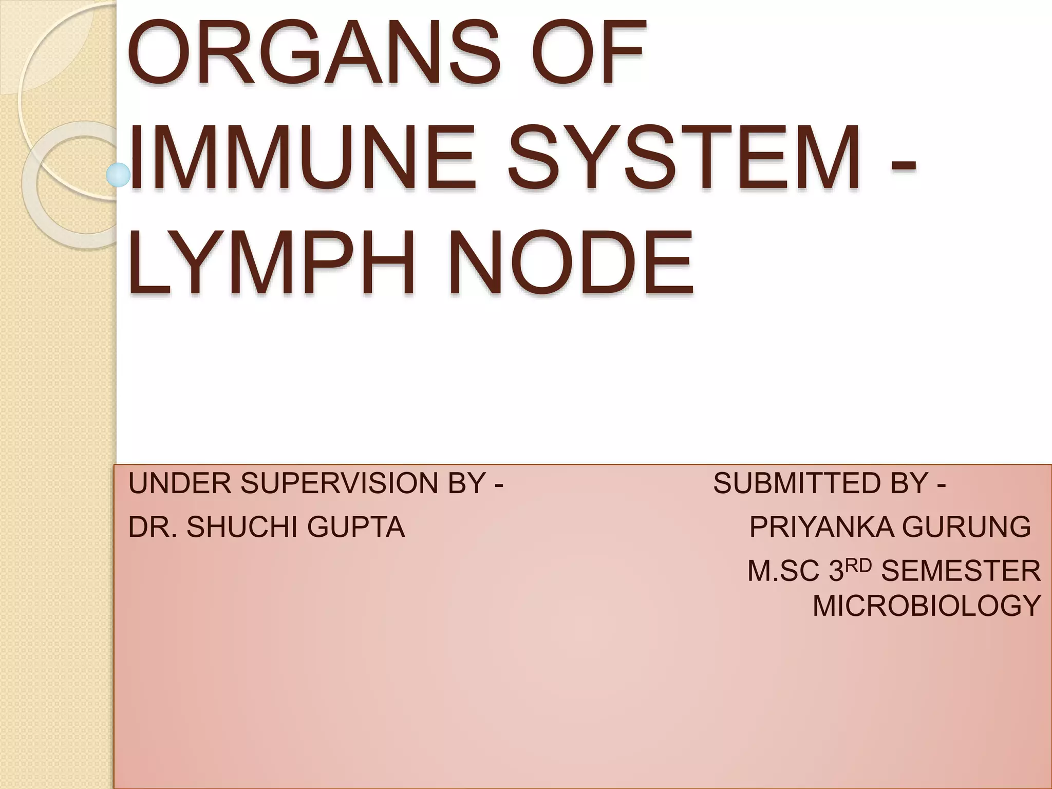 Presentation on lymph node | PPTX