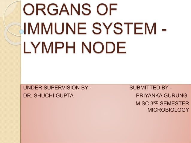 Presentation on lymph node | PPT