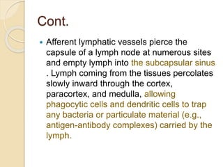 Presentation on lymph node | PPT