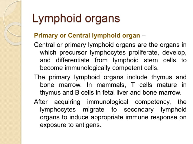 Presentation on lymph node | PPT
