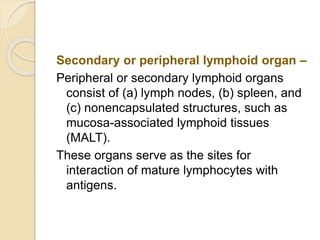 Presentation on lymph node | PPT
