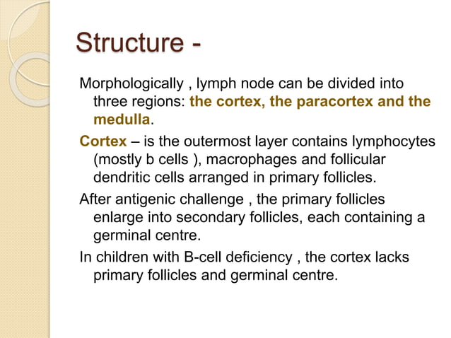 Presentation on lymph node | PPT