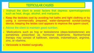 Presentation on male reproductive system by pooja | PPTX