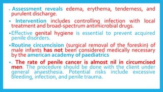 Presentation on male reproductive system by pooja | PPTX