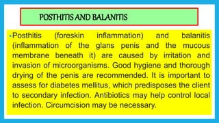 Presentation on male reproductive system by pooja | PPTX