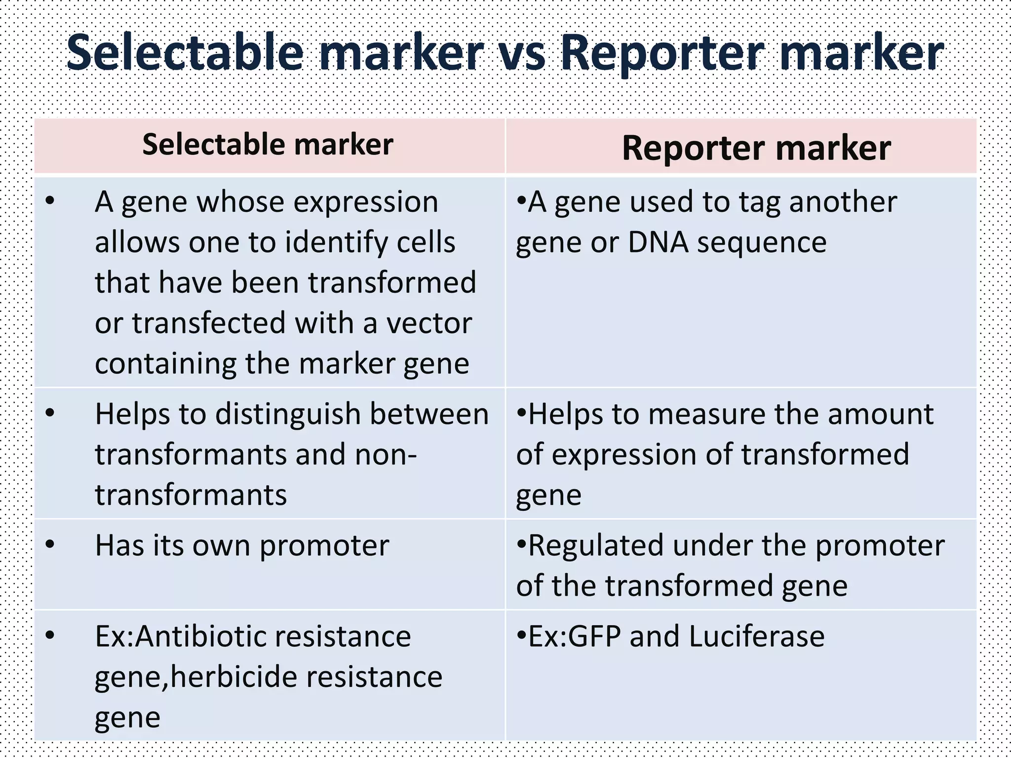 Presentation on marker genes | PPTX