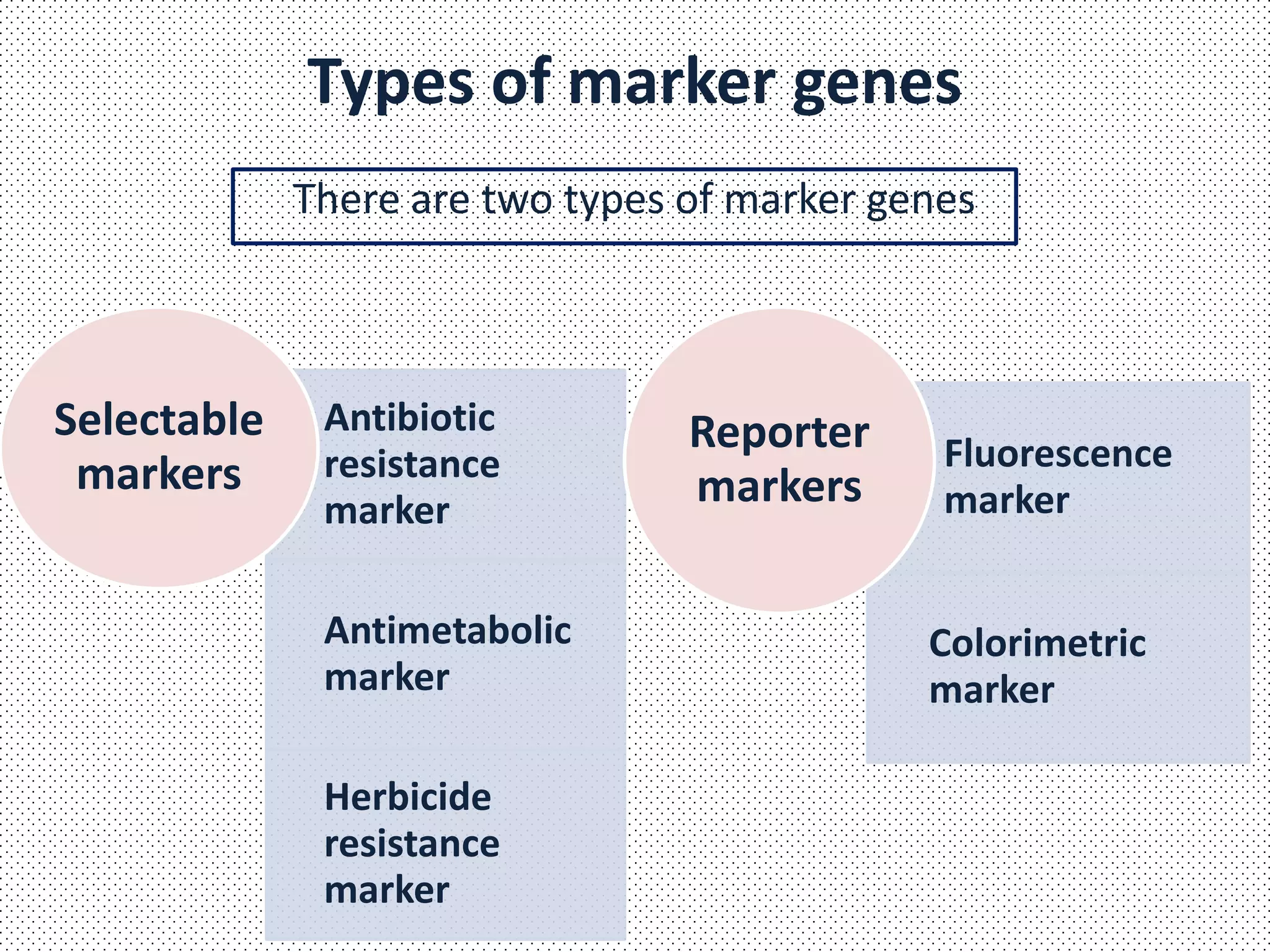 Presentation on marker genes | PPTX