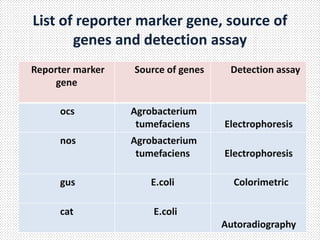 Presentation on marker genes | PPTX