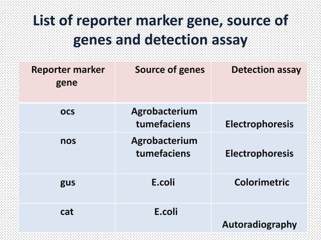 Presentation on marker genes | PPTX