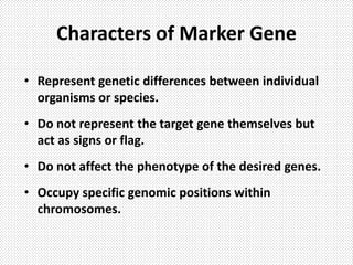 Presentation on marker genes | PPTX