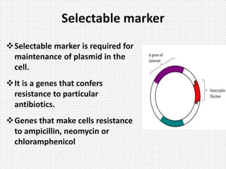 Presentation on marker genes | PPTX