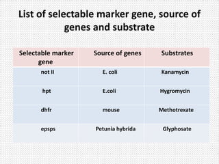 Presentation on marker genes | PPTX