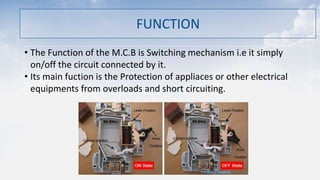 PRESENTATION ON MCB AND ELCB 4.pptx