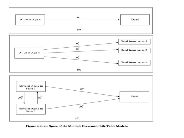 Presentation on Multiple Decrement Life Table by amin | PPTX