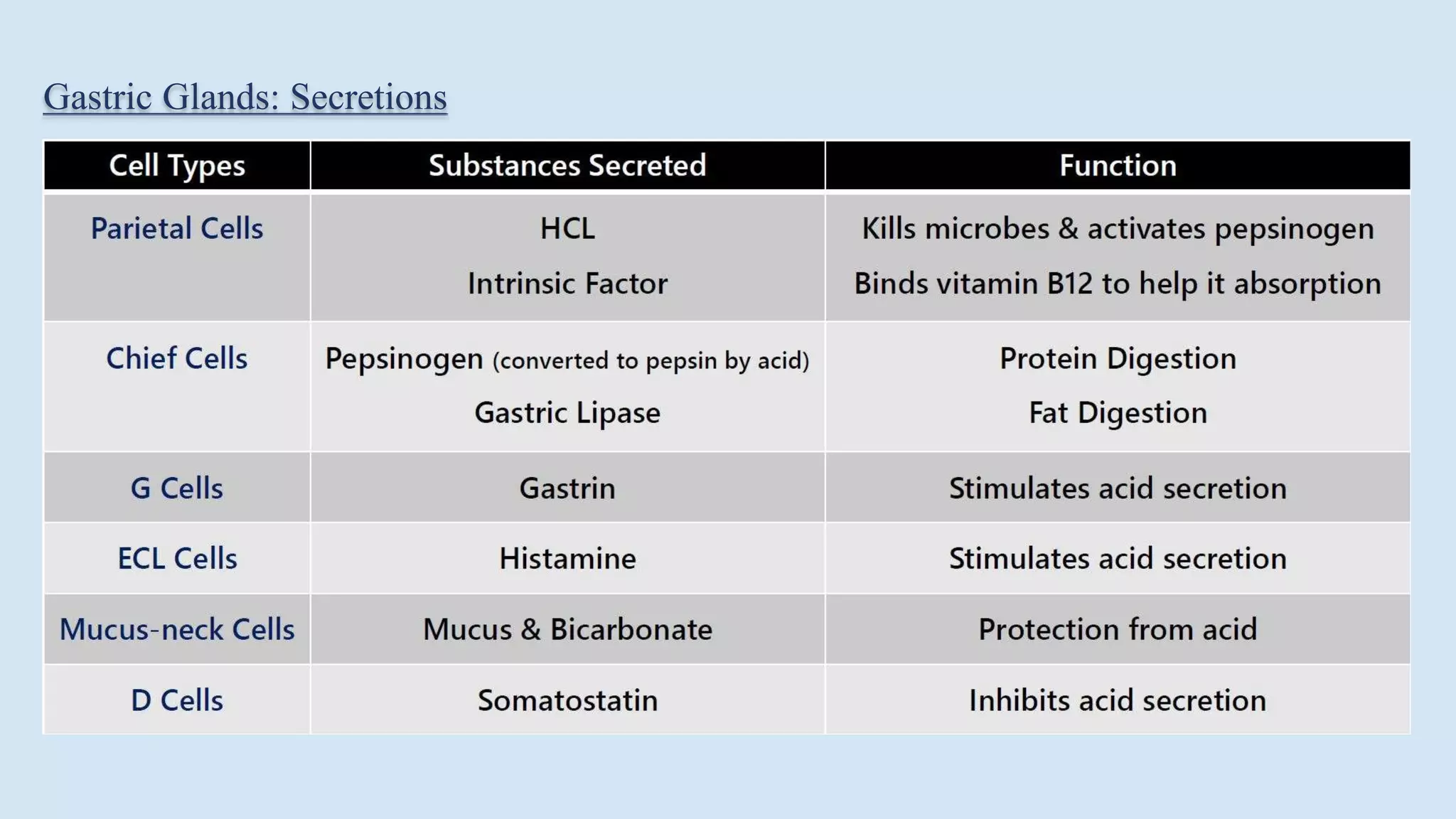 Presentation on the mechanism of HCl production in the stomach | PPTX