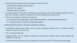 Presentation on the mechanism of HCl production in the stomach | PPTX