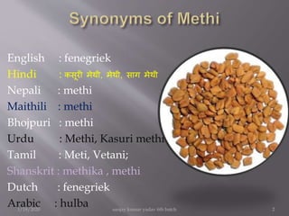 Fenugreek (Methi) | PPTX