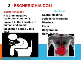 Nosocomial Infections or lab associated infections | PPT